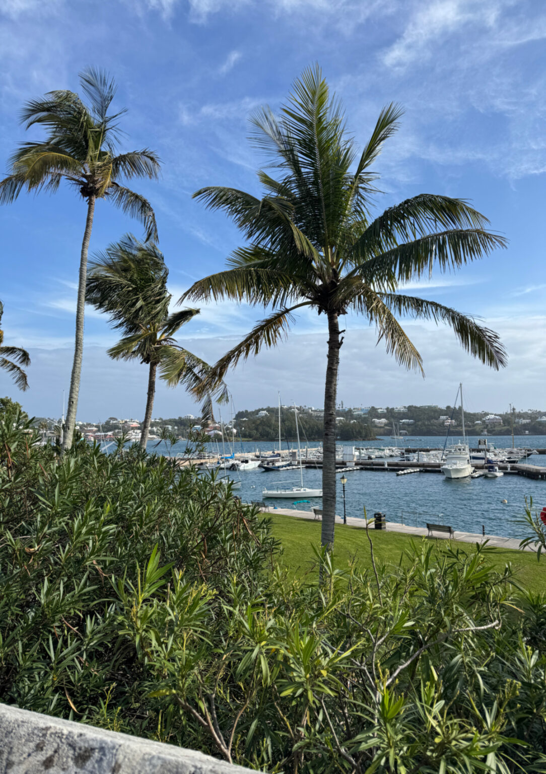 Visiting Bermuda - Travel Tips - April J Harris